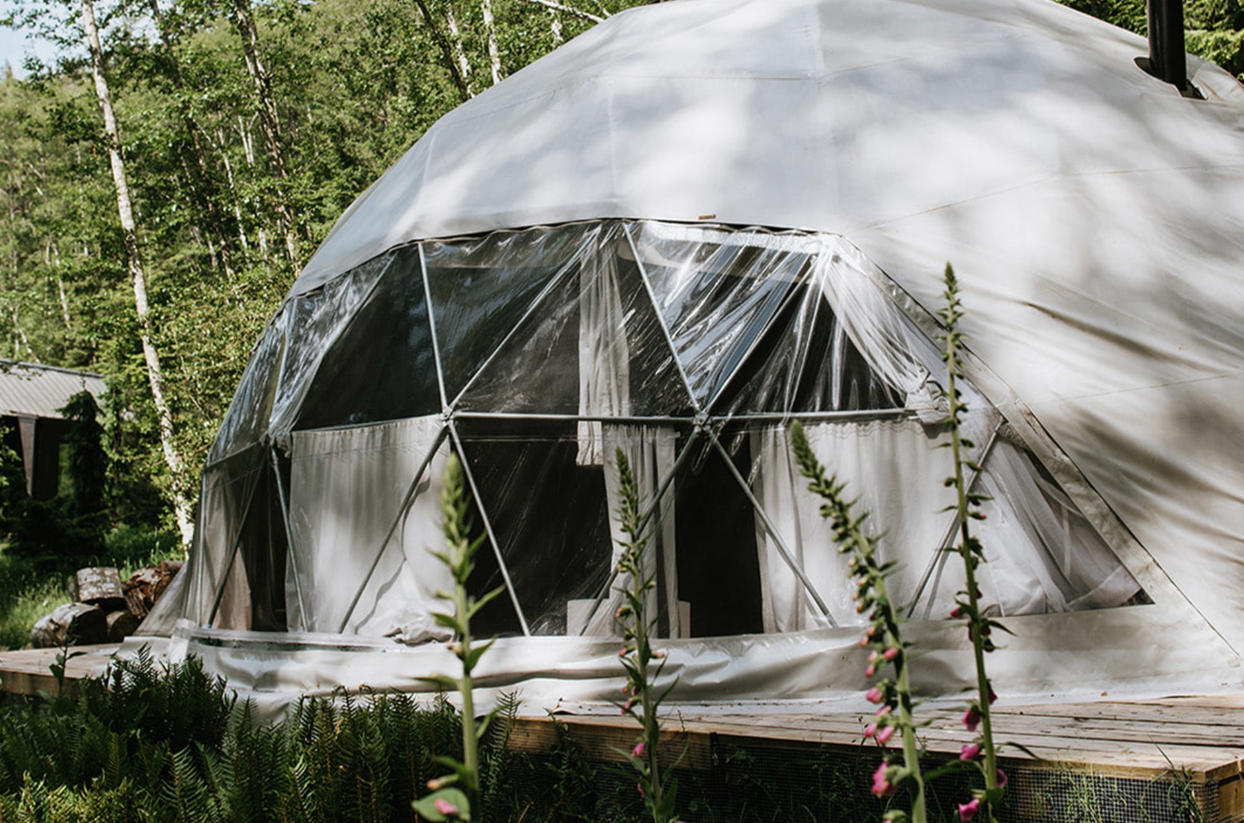 embrace the healing energy of summer through movement and mindful prac – b, halfmoon CA